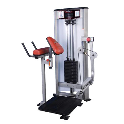Pro Maxima Raptor Series P-5400 Glute Press | Power Systems